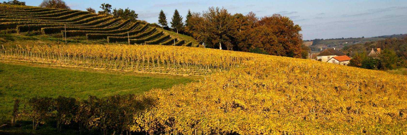 The 10 best hotels & places to stay in Jurançon, France - Jurançon hotels