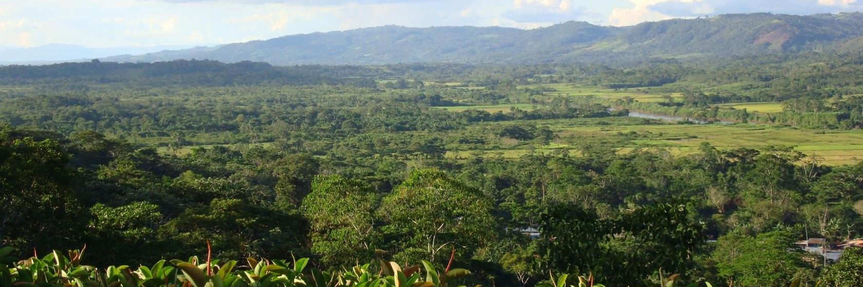 10 Best Moyobamba Hotels, Peru (From $18)