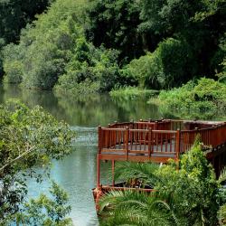 The best available hotels & places to stay near Divundu, Namibia