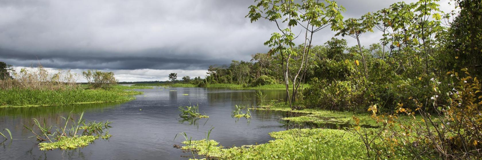 The 10 Best Ucayali Hotels — Where To Stay in Ucayali, Peru